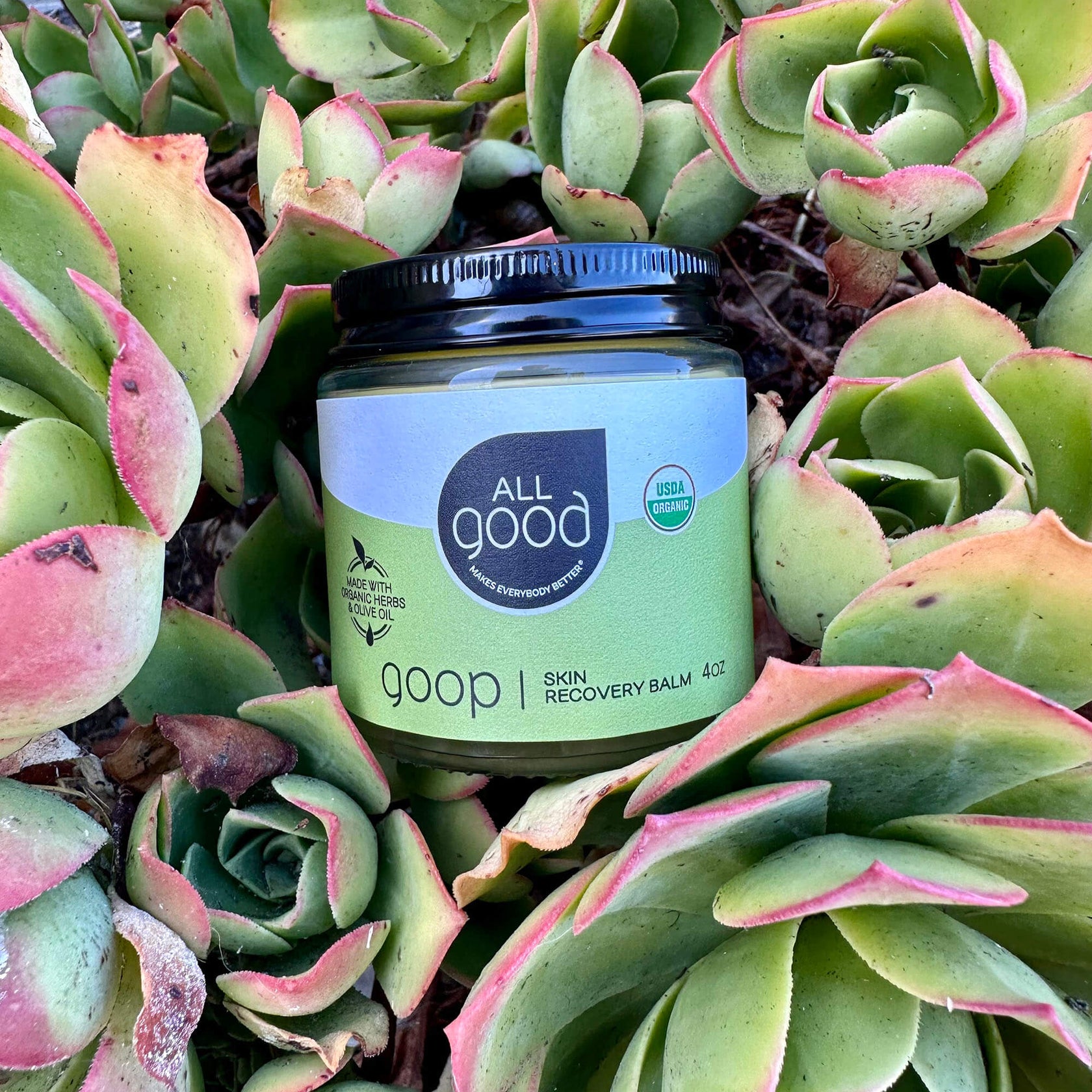 All Good Goop, 4 oz – All Good Body Care