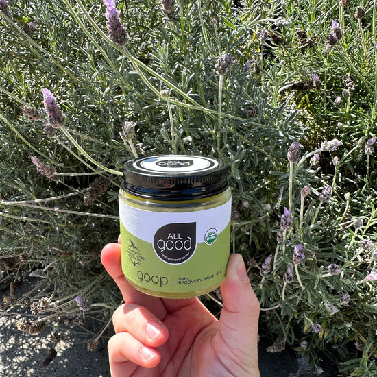 All Good Goop, 4 oz – All Good Body Care