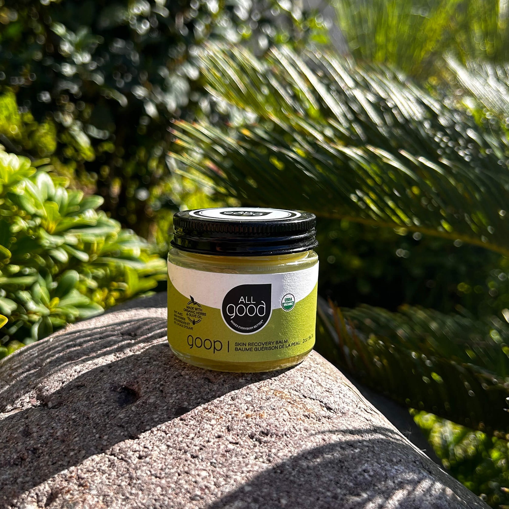 All Good Goop, 2 oz – All Good Body Care